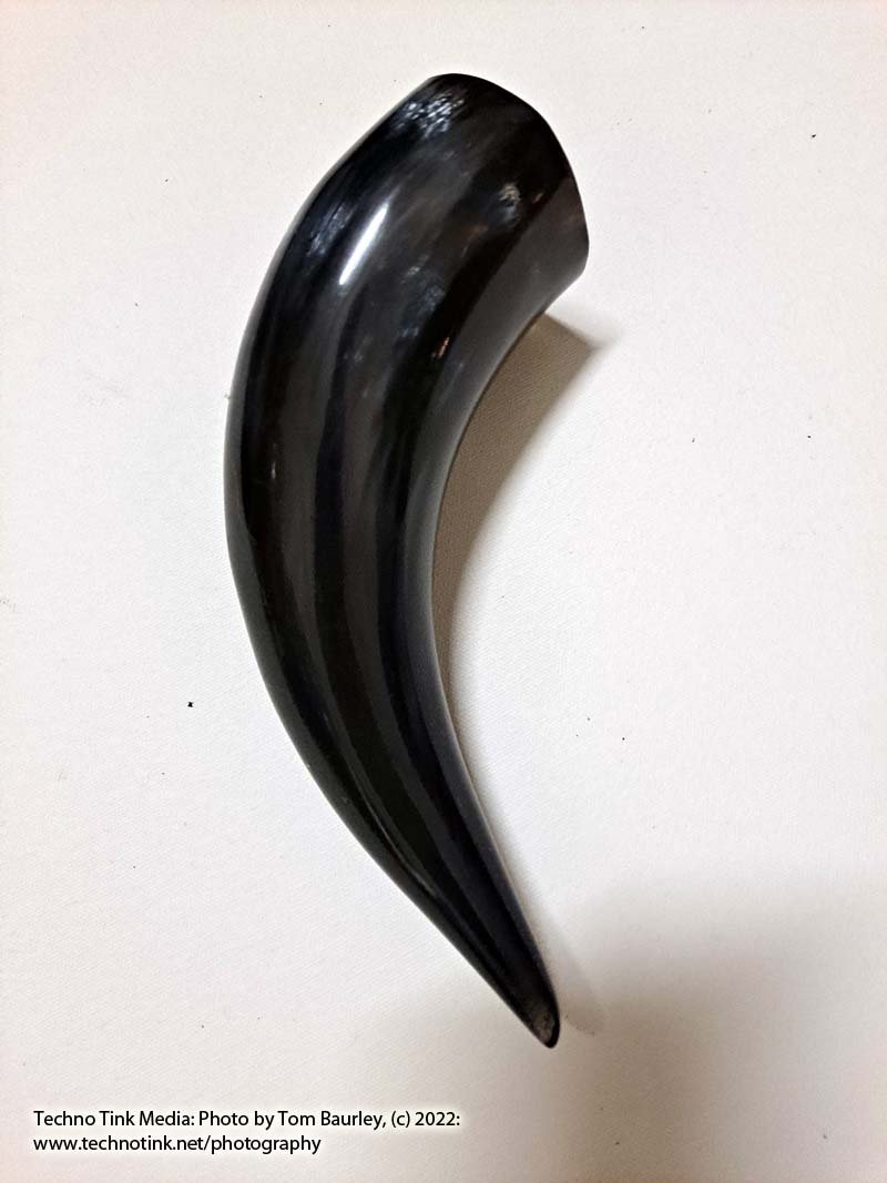 Small Black Drinking Horn 100 ml 8x3x2" - The Naiads Well