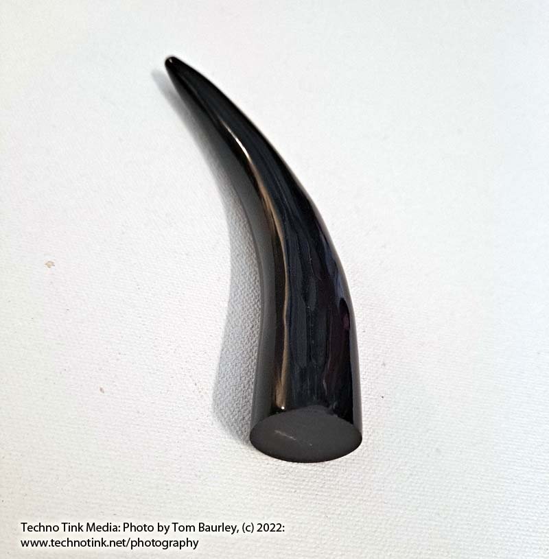Black Water Buffalo Horn Tip, Natural - The Naiads Well